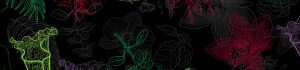 Grotek | Premium nutrients and supplements for serious growers.
